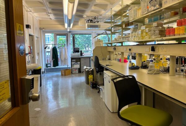 In which we land | Mind the Gap